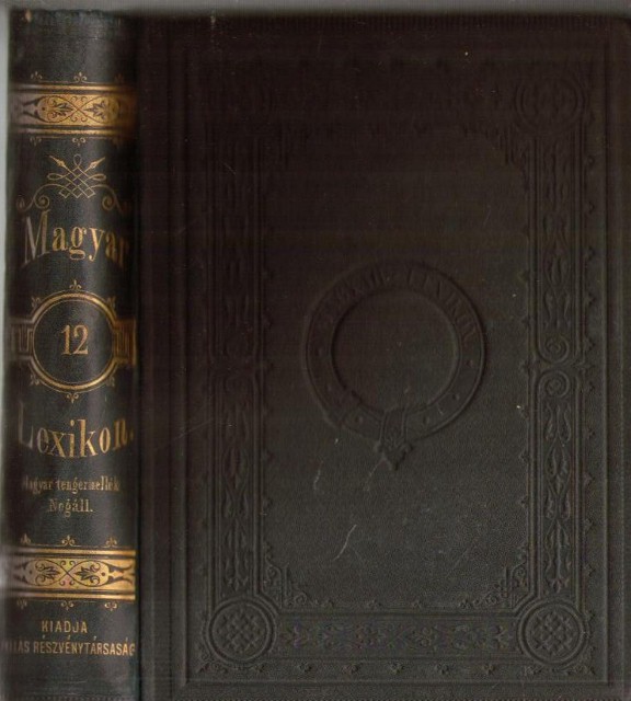 Somogyi Ede szerk. - Magyar lexikon I-XVII. (1-16.+ képkötet) - Az ...